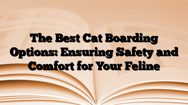 The Best Cat Boarding Options: Ensuring Safety And Comfort For Your ...