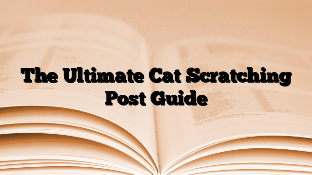 The Ultimate Cat Scratching Post Guide | Cats Luv Us
